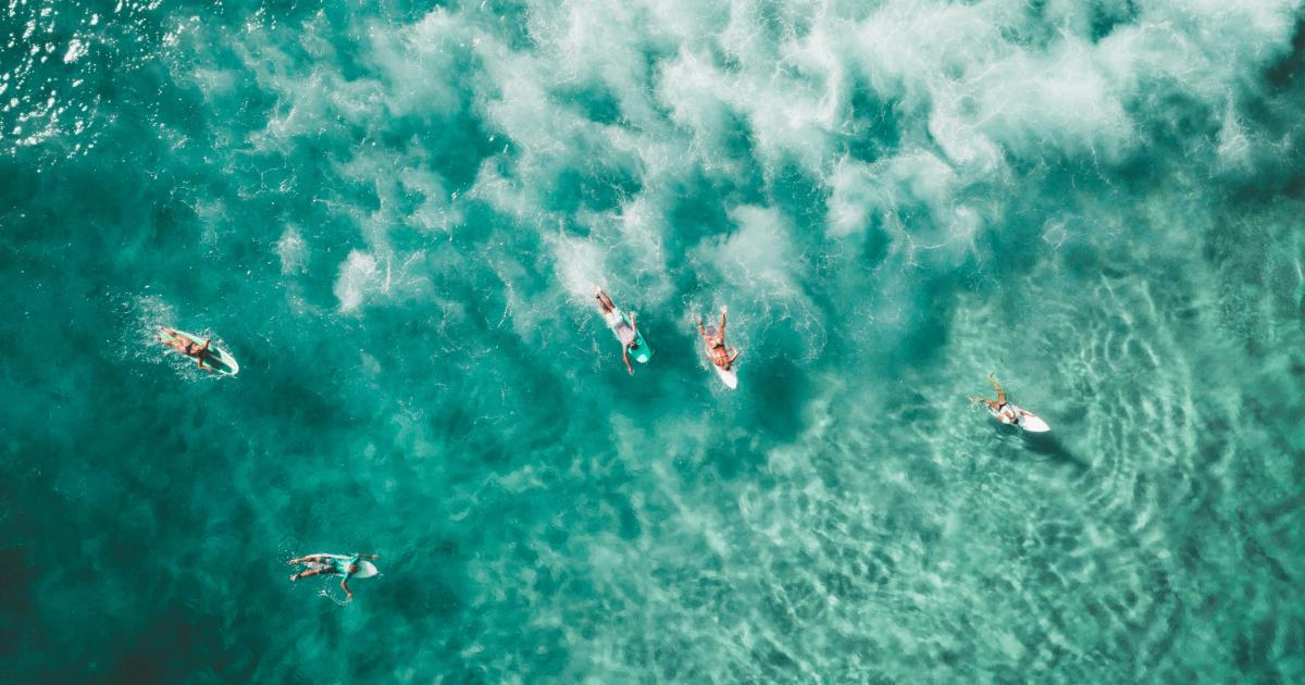 Conservation Gap Analysis and the Business Case for Protecting Surf ... Conservation Gap Analysis and the Business Case for Protecting Surf ...